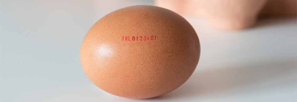 Was bedeutet der Aufdruck auf den Eiern? • Der »PAYBACK Ratgeber«